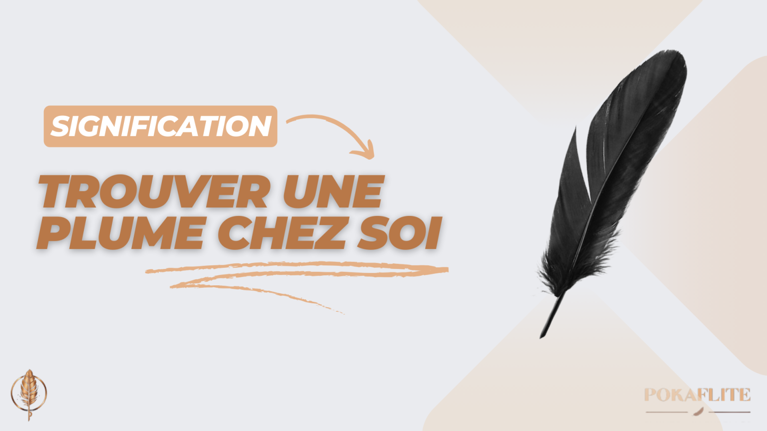 Quelle est la signification d'une plume blanche ? | Plumes Naturelles